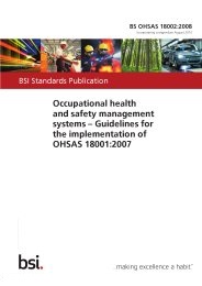 Occupational health and safety management systems - guidelines for the ...