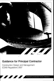Guidance for Principal Contractor: Construction design and management ...