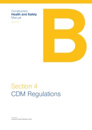 CDM Regulations (including June 2017, June and December 2018 and June ...