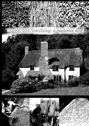 Thatch and thatching: a guidance note - The Construction Information ...