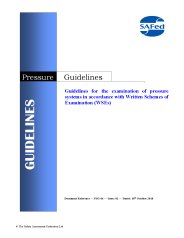 Pressure guidelines: guidelines for the examination of pressure systems ...