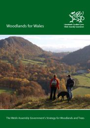 Woodlands for Wales - the Welsh Assembly Government's strategy for ...