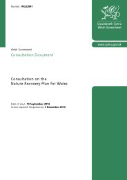 Consultation on the nature recovery plan for Wales - The Construction ...